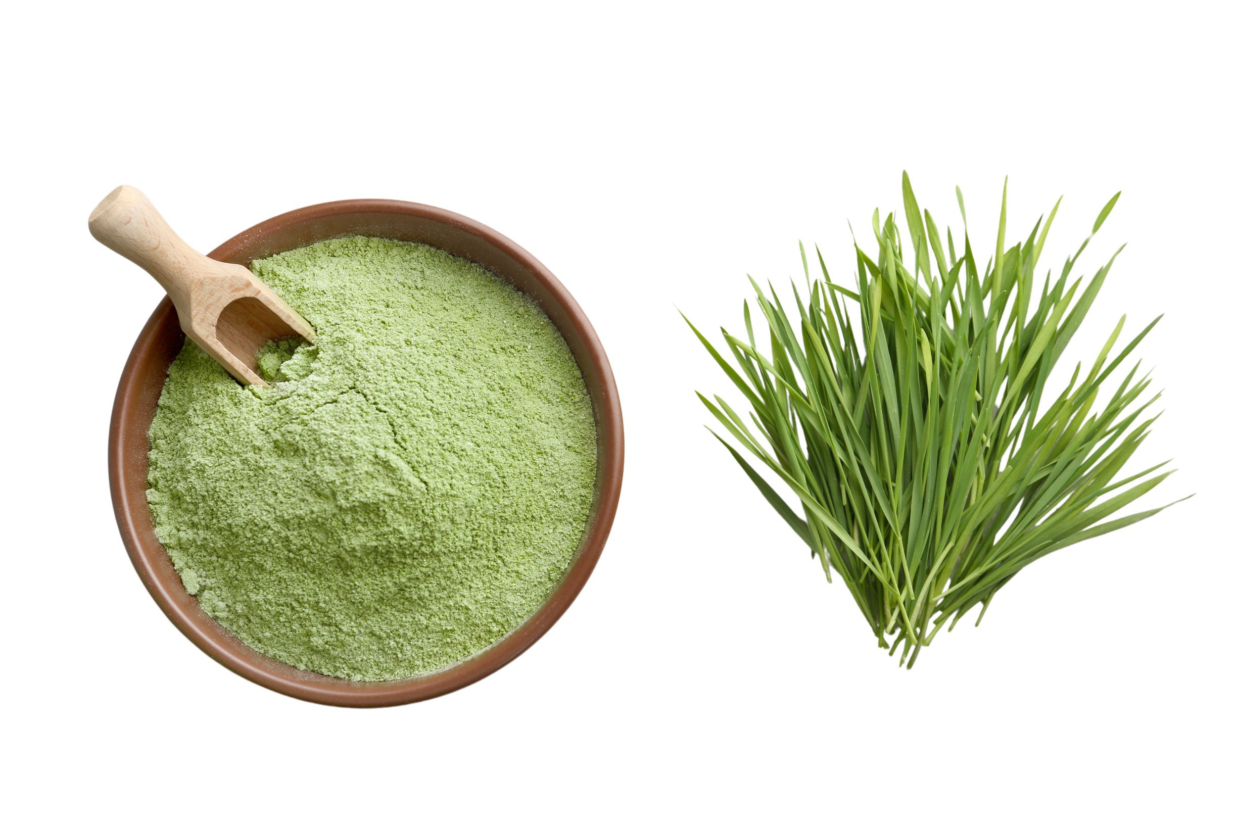 Organic Wheatgrass Powder | Abbott Blackstone EU & UK